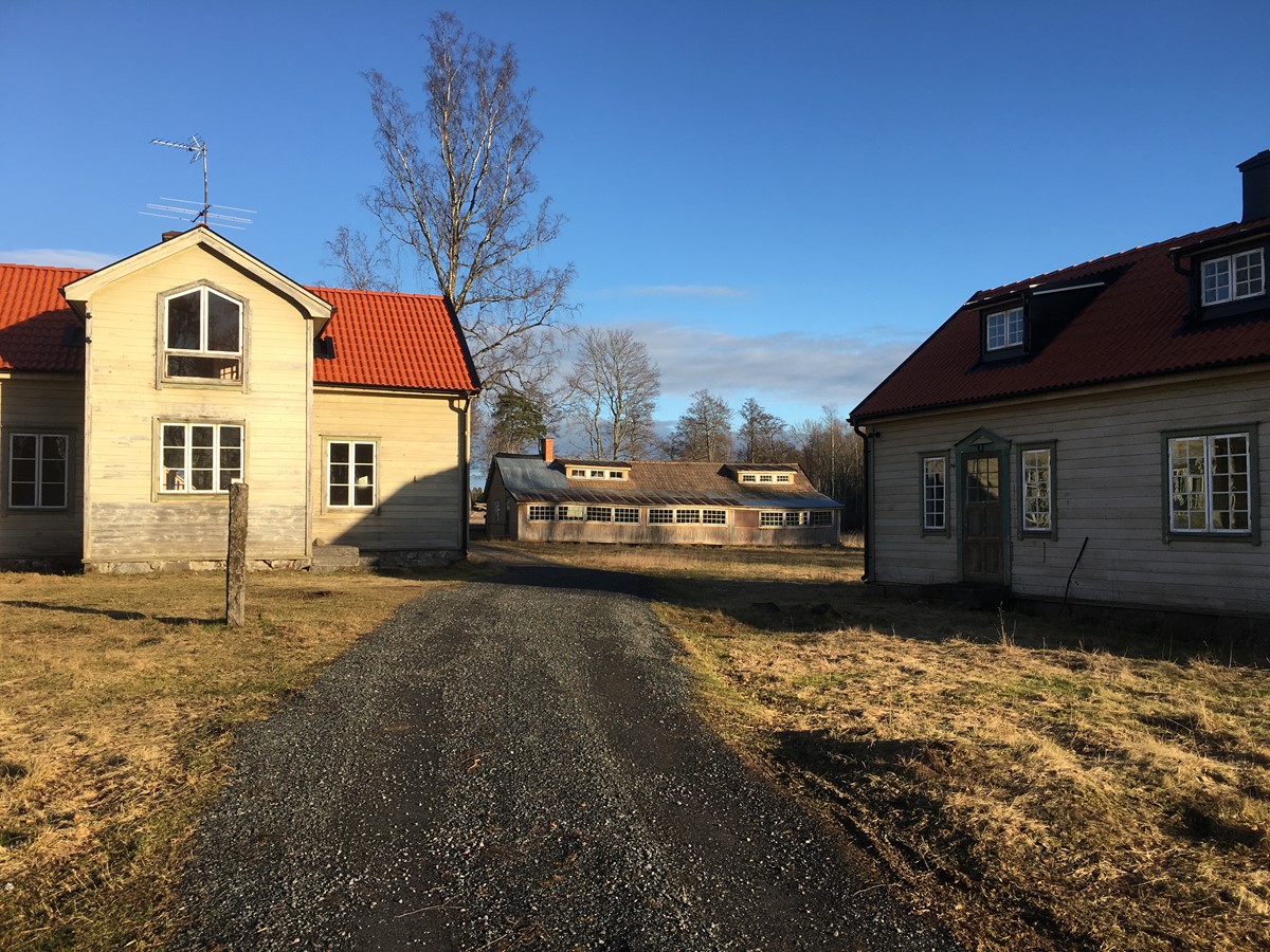 En kollohistoria om Sundsro på Barnens Ö